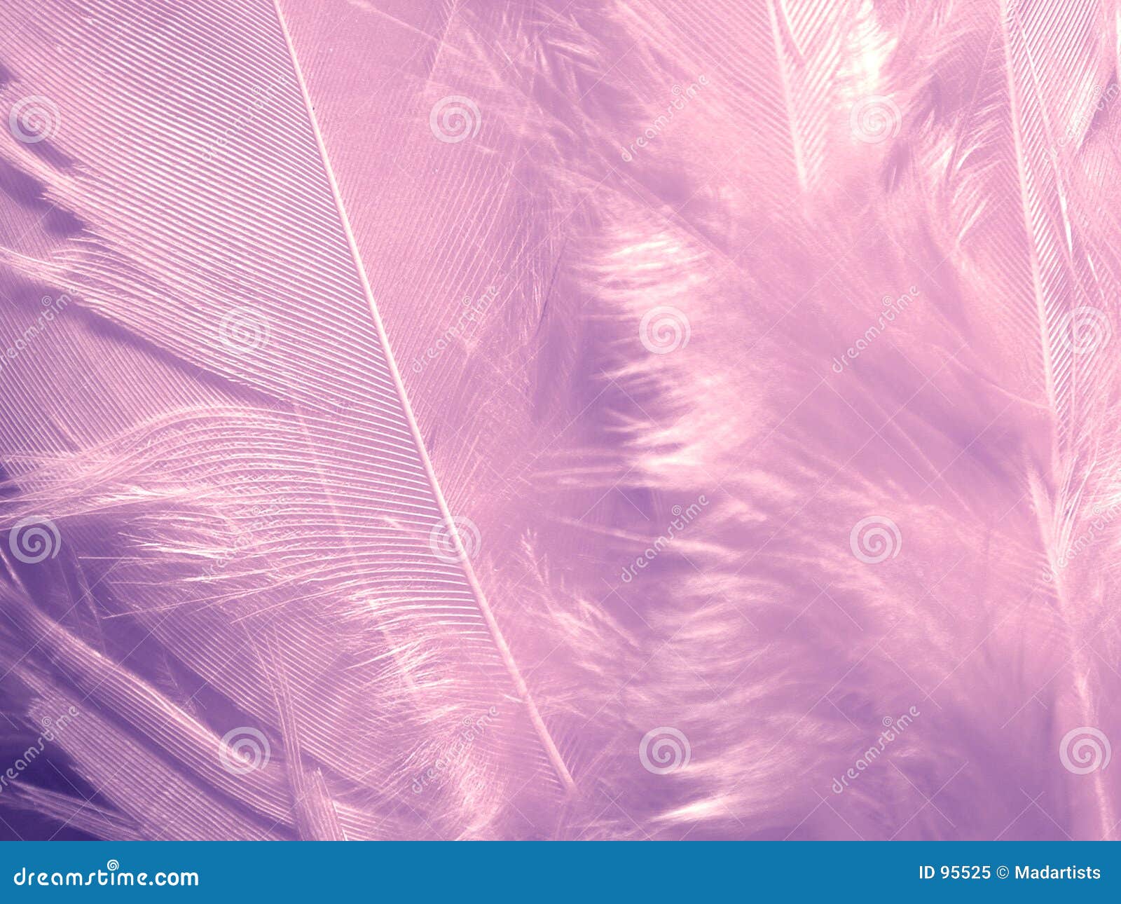 Soft Purple Feathers Texture Stock Image - Image of real, colors: 95525