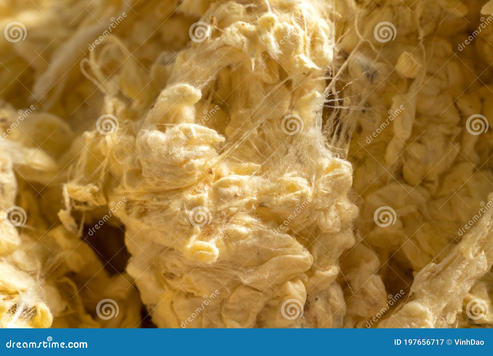 Soft Raw Threads Extracted from the Cocoon of the Silkworm in ...