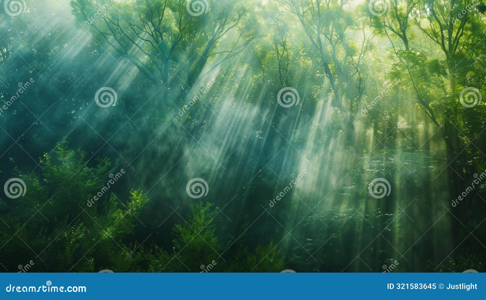 Soft Rays of Sunlight Peek through the Canopy of Emerald and Sapphire ...