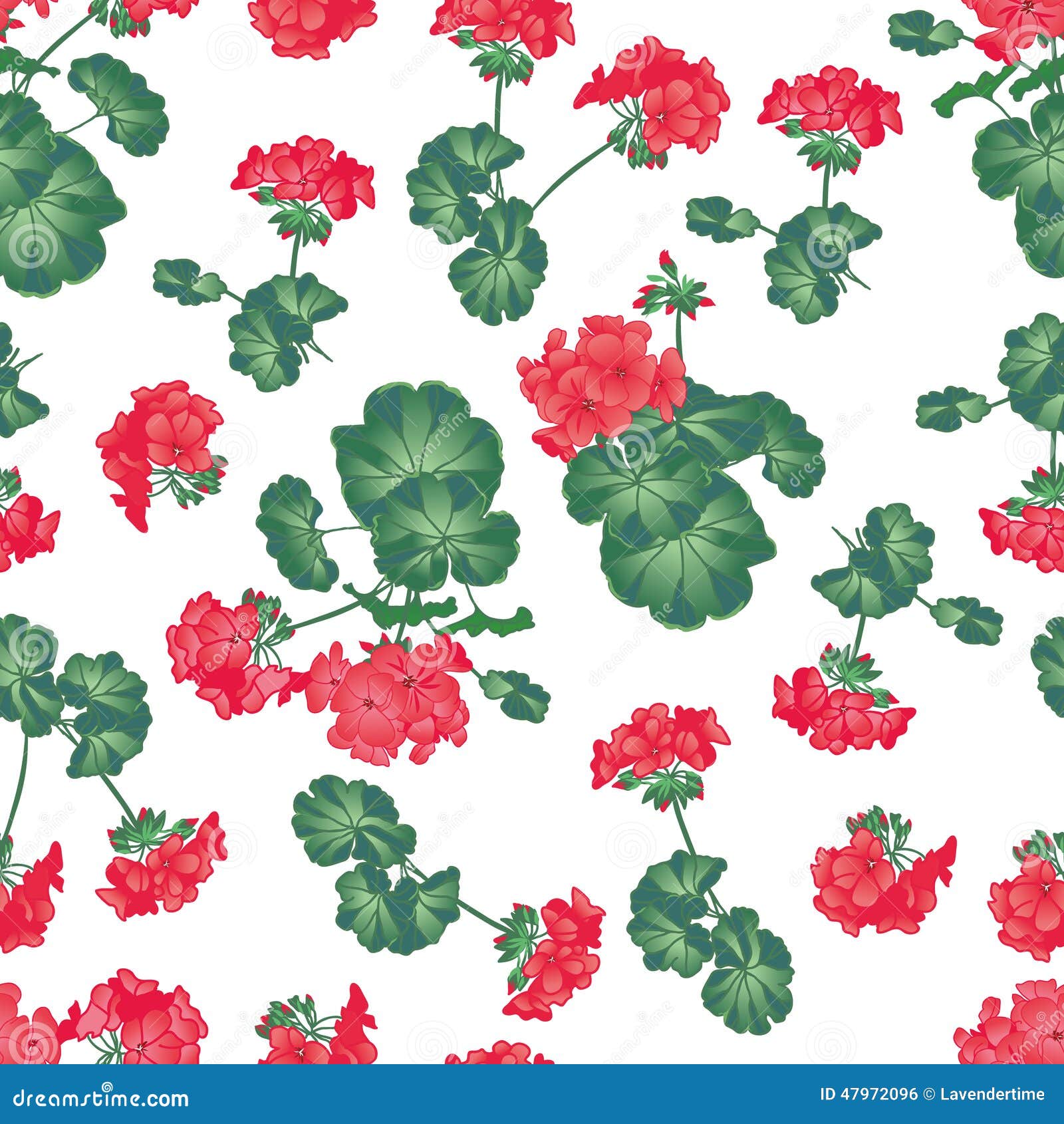 Soft Red Geranium Seamless Pattern Stock Vector - Illustration of ...