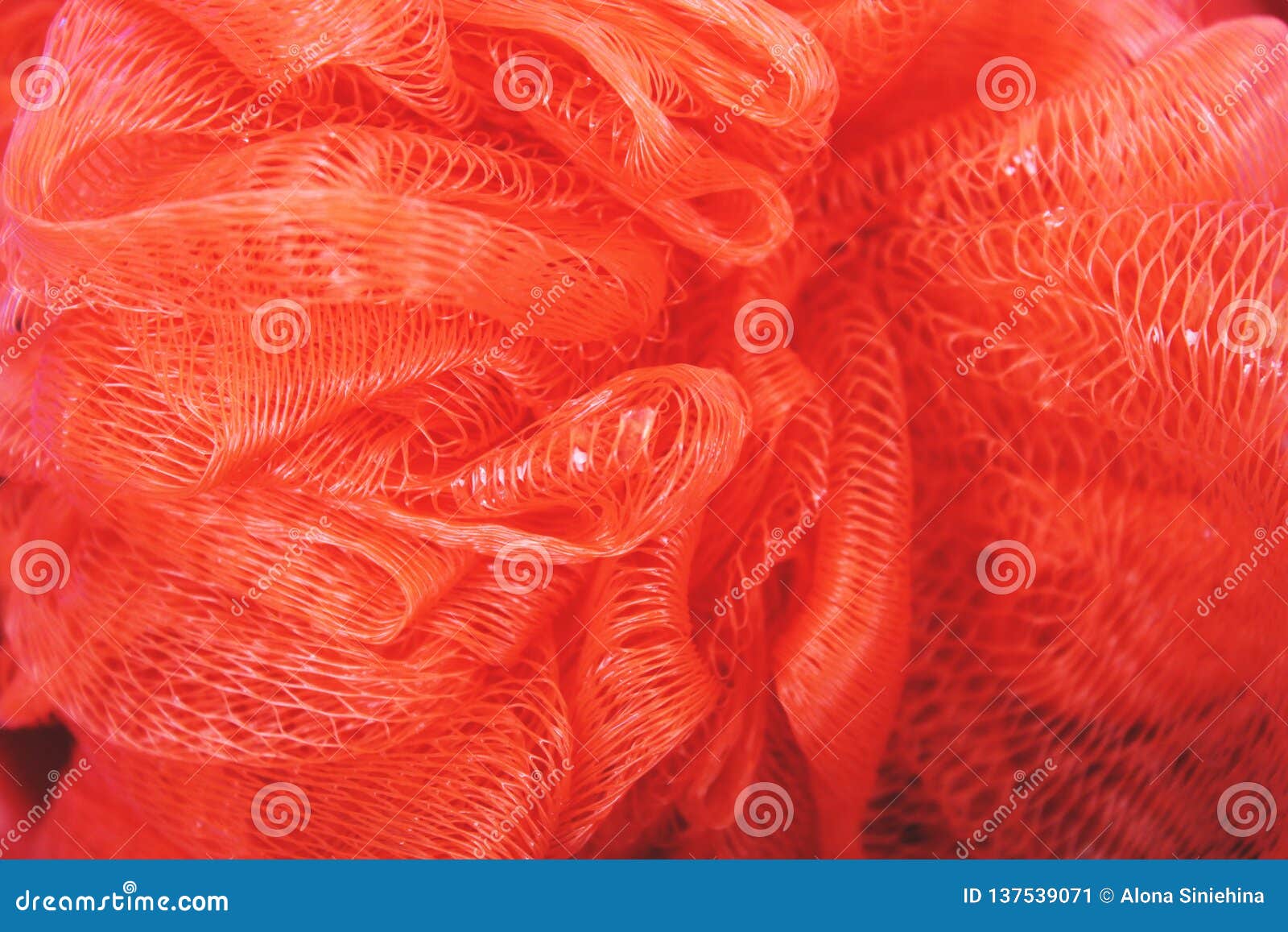 Soft Red Sponge for Bath and Shower, Background and Texture Stock Image ...