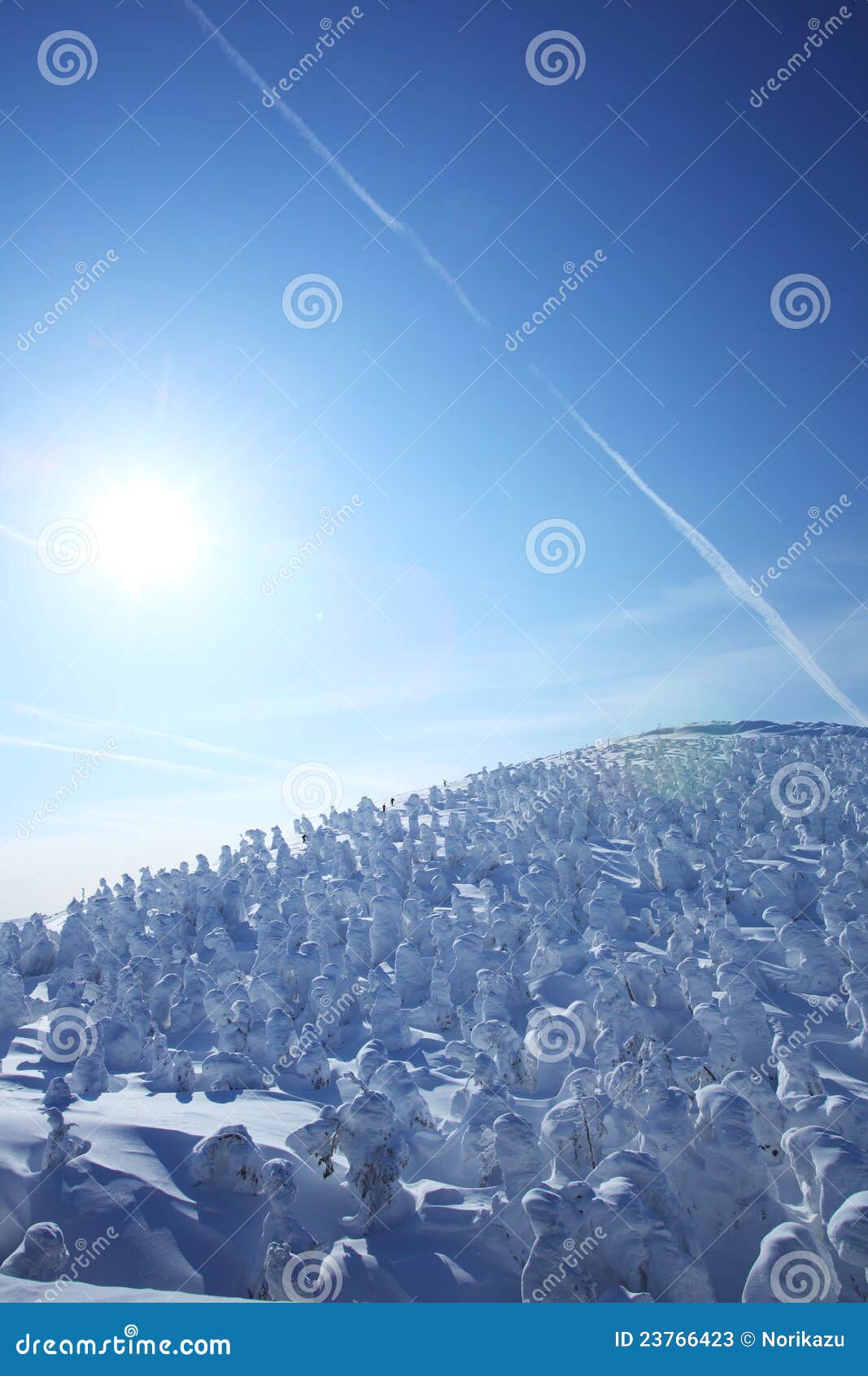 Soft rime, Mt.Zao in Japan stock image. Image of light - 23766423