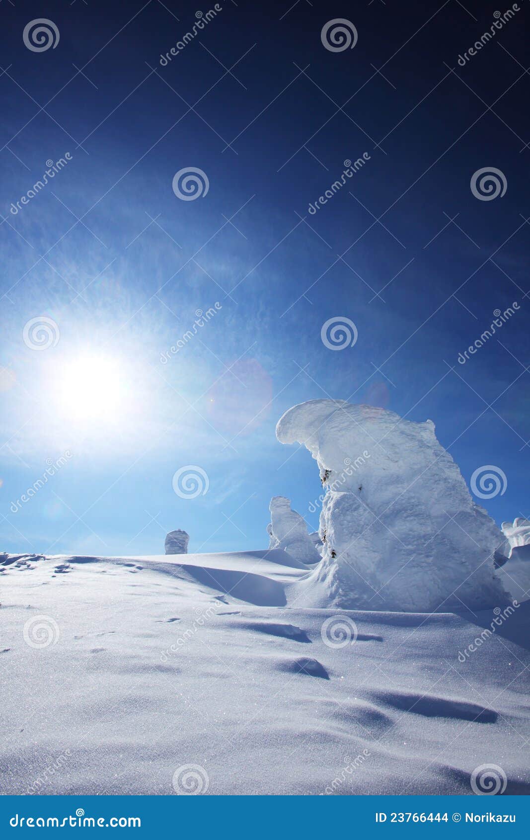Soft rime, Mt.Zao in Japan stock photo. Image of environment - 23766444