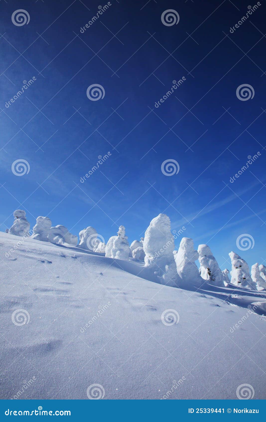 Soft rime, Mt.Zao in Japan stock image. Image of tohoku - 25339441