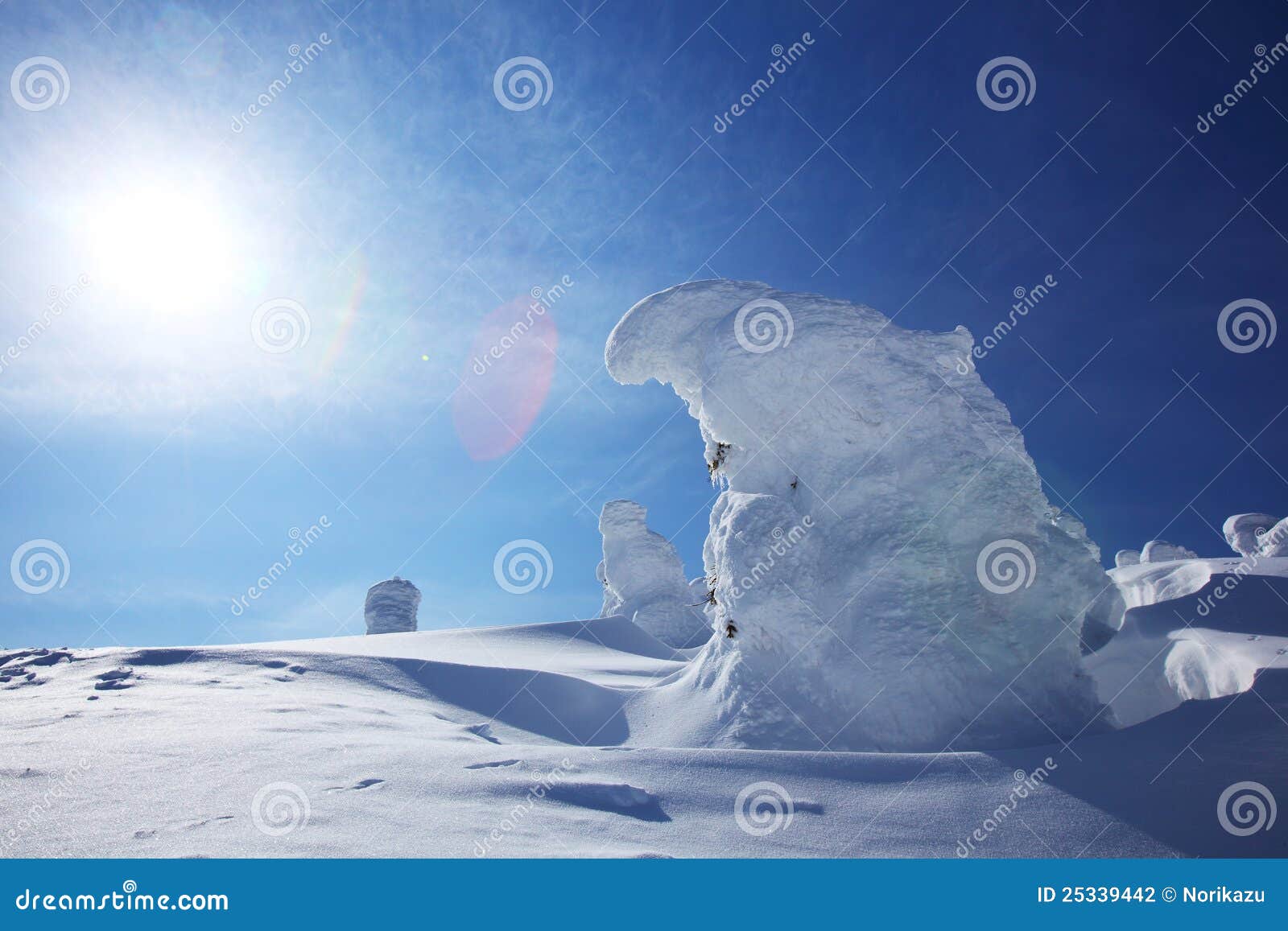 Soft rime, Mt.Zao in Japan stock photo. Image of frozen - 25339442