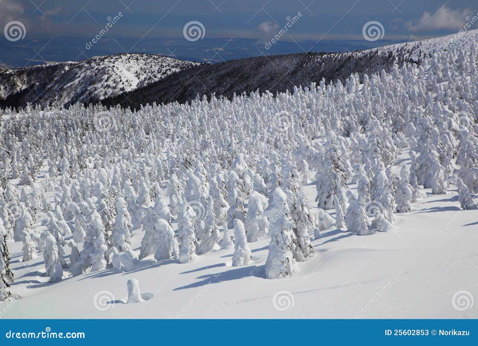 Rime Ice Of Mount Shasta Clinging To Volcanic Red Rock Cliff Near The ...