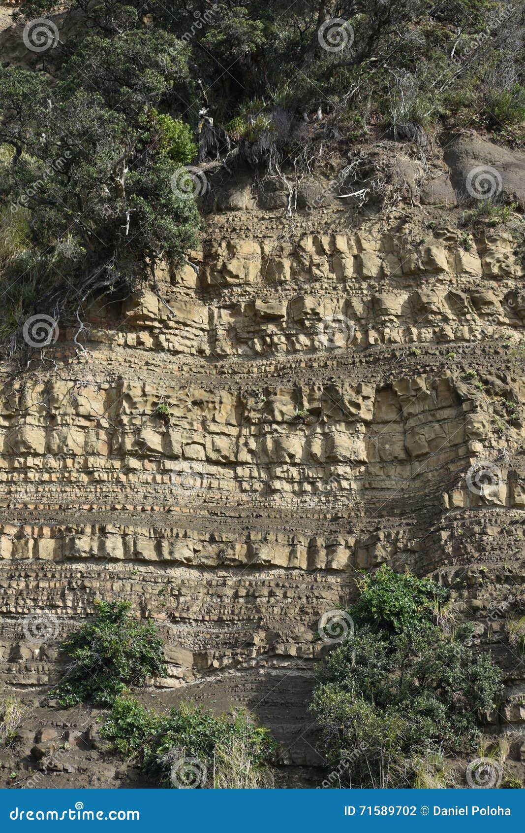 Soft rock cliff stock photo. Image of layer, soil, rock - 71589702