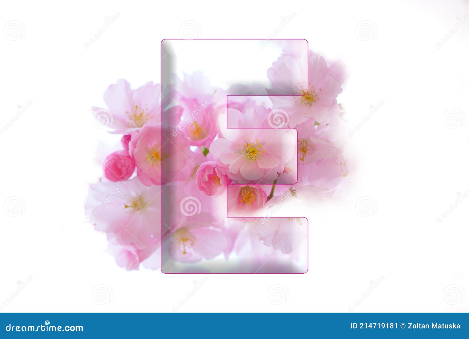 Soft Roze Letter E Romantic Sign Cherry Blossom Alphabet Isolement ...