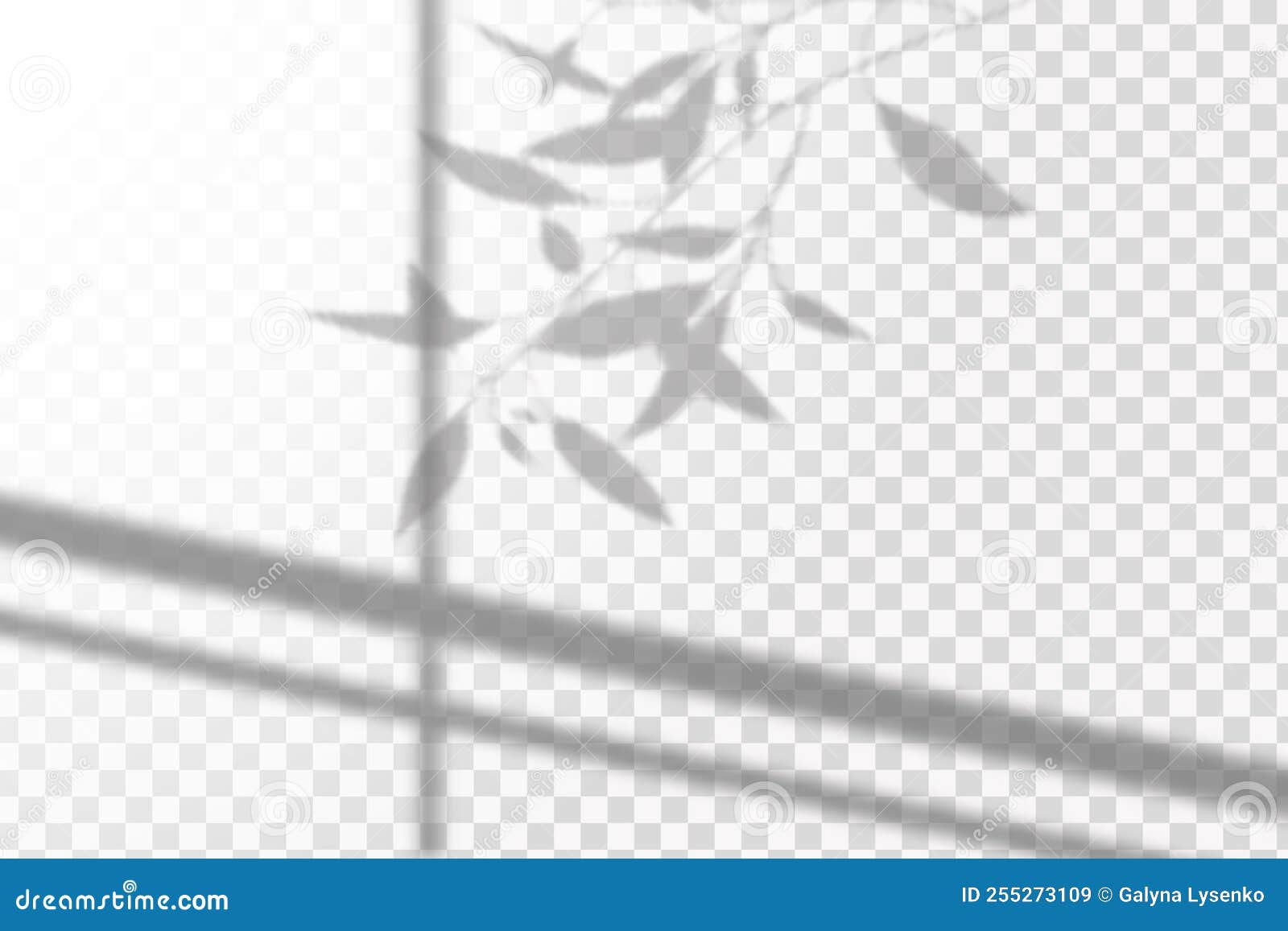 Soft Shadow Form Window and Plants, Light Overlay Effect. Scenes of ...