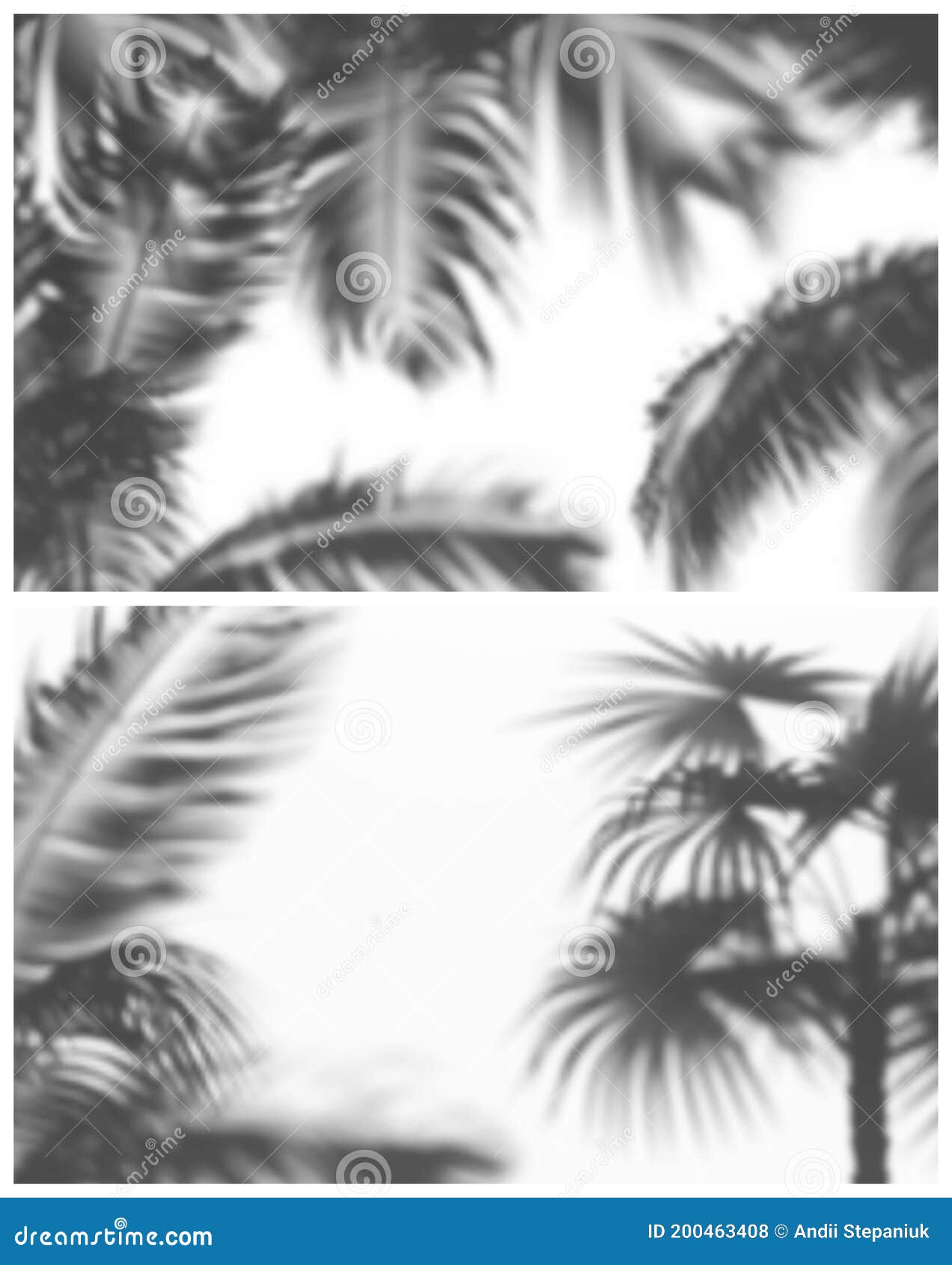 Soft Shadow of Palm Trees and Fern Stock Vector - Illustration of ...