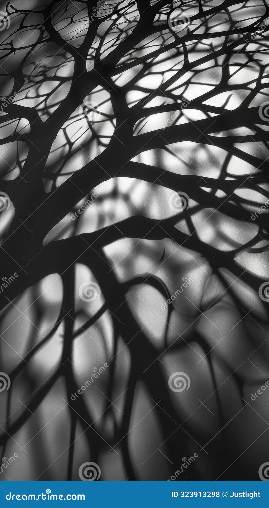 Soft Shadows Form Intricate Patterns Mesmerizing the Viewer in an ...