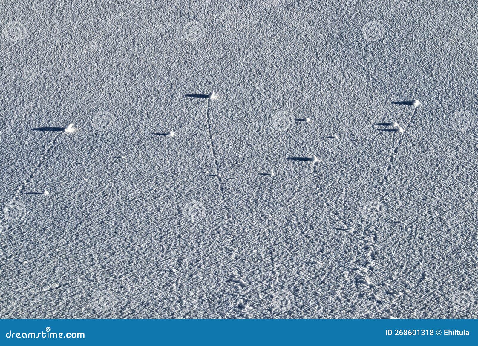 Soft Snow Surface Patterns in Winter on Hillside Stock Photo - Image of ...