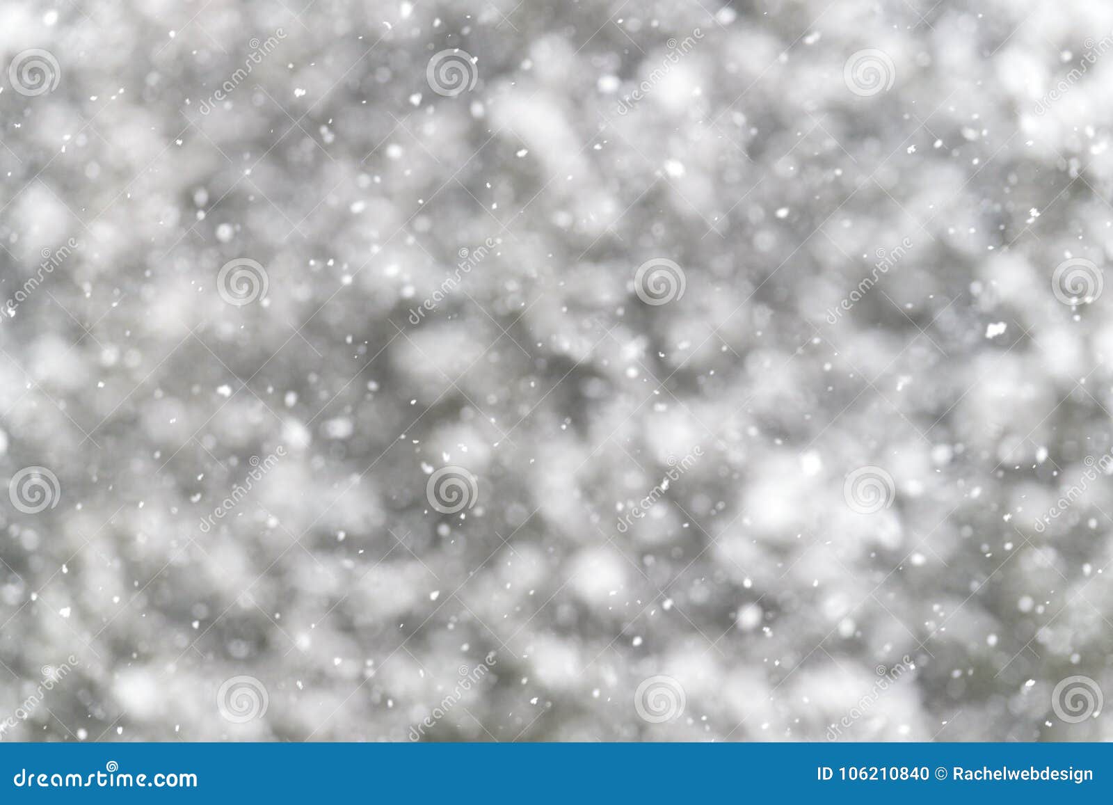 Soft Snowflakes Falling Background with Defocused Pine Trees in Stock ...