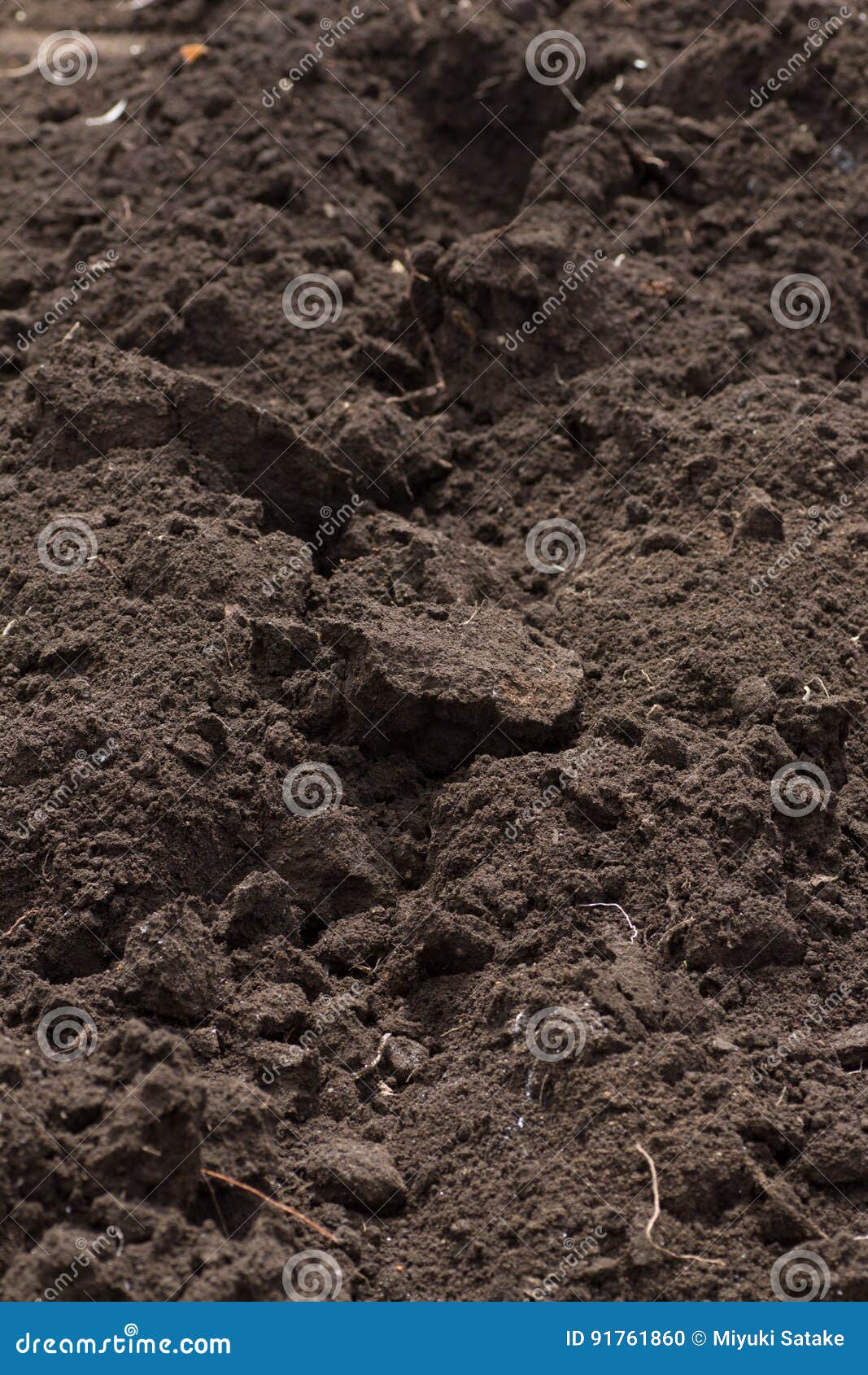 Soft soil stock photo. Image of earth, farming, closeup - 91761860