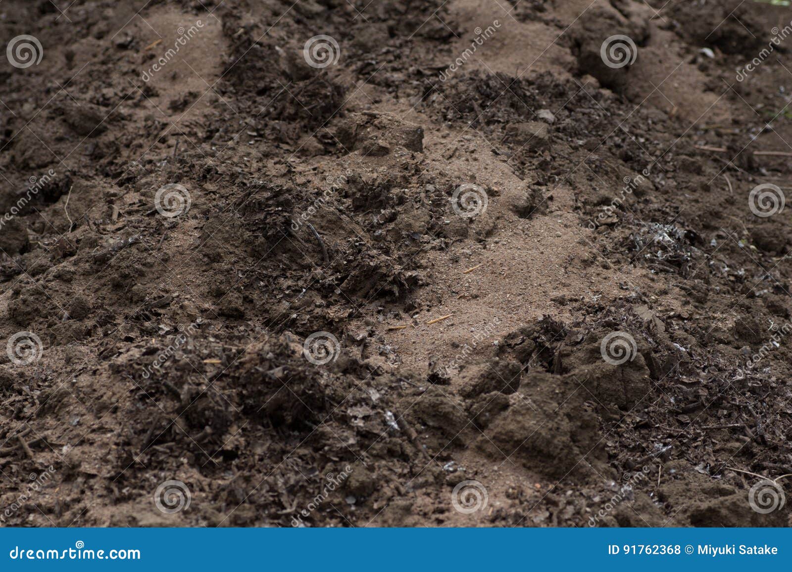 Soft soil stock photo. Image of closeup, gardening, growth - 91762368