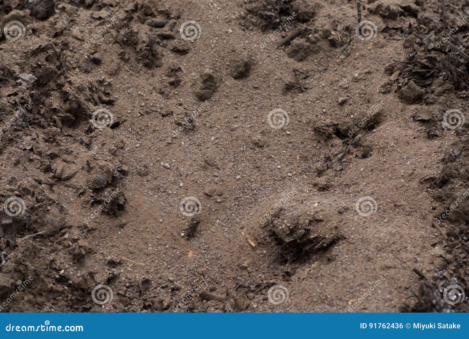 Soft soil stock photo. Image of japan, close, brown, dirt - 91762436