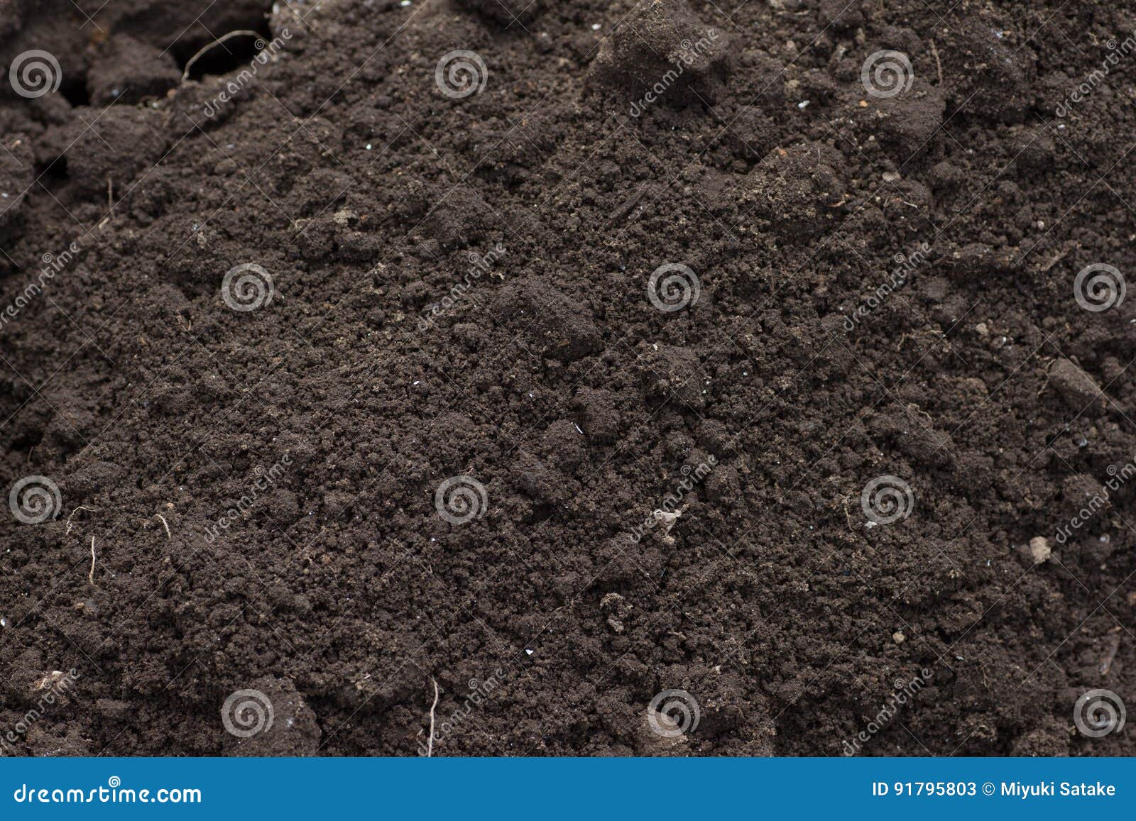 Soft soil stock image. Image of environmental, planting - 91795803