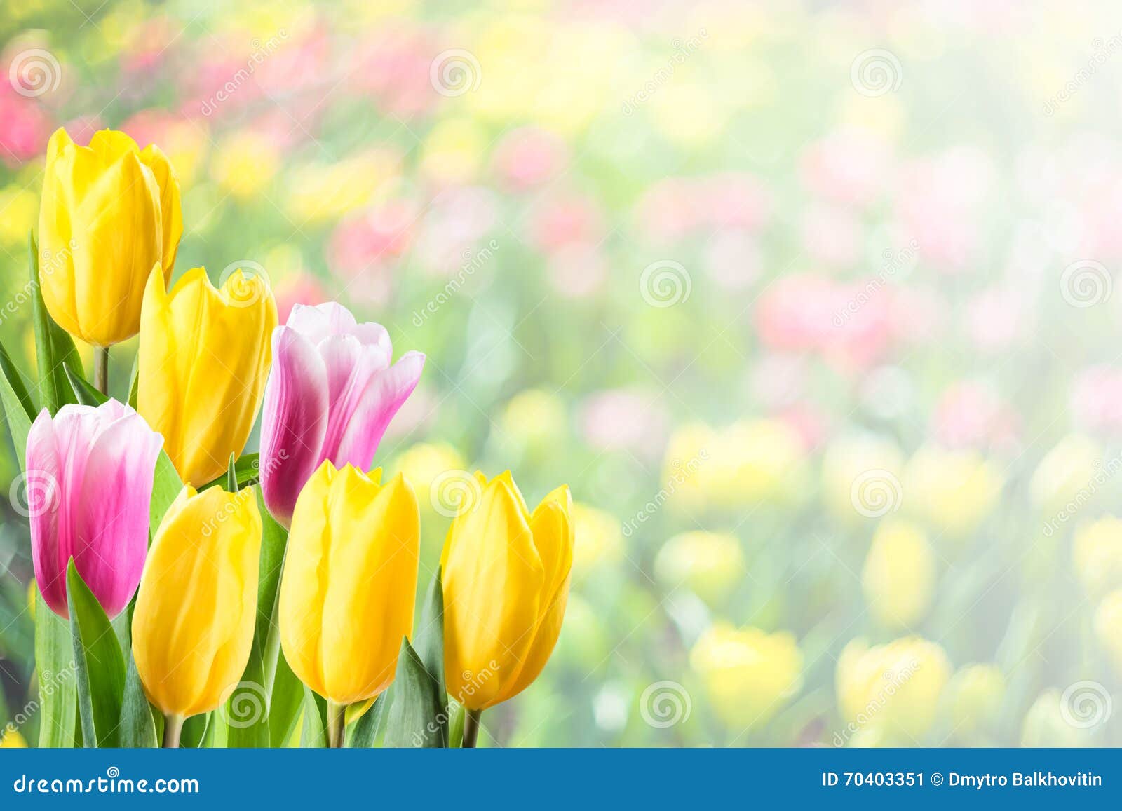 Soft Spring Floral Background Stock Image - Image of focus, love: 70403351