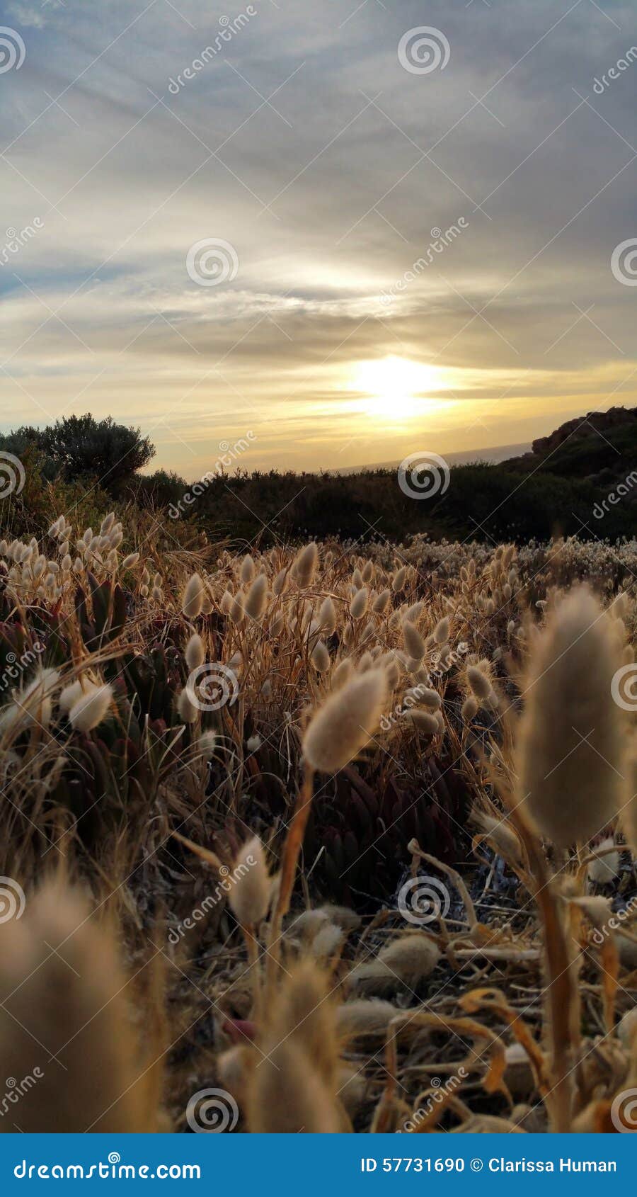 Soft sunset stock photo. Image of sunsets, australia - 57731690