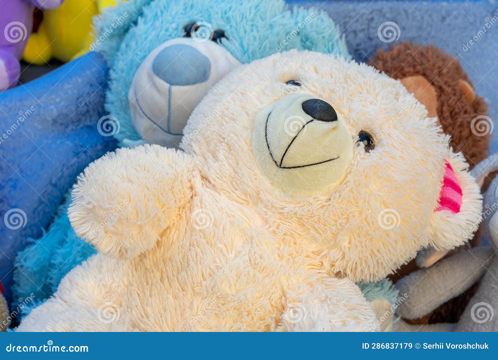 Soft Teddy Bears Close-up. a Gift for a Child Stock Image - Image of ...