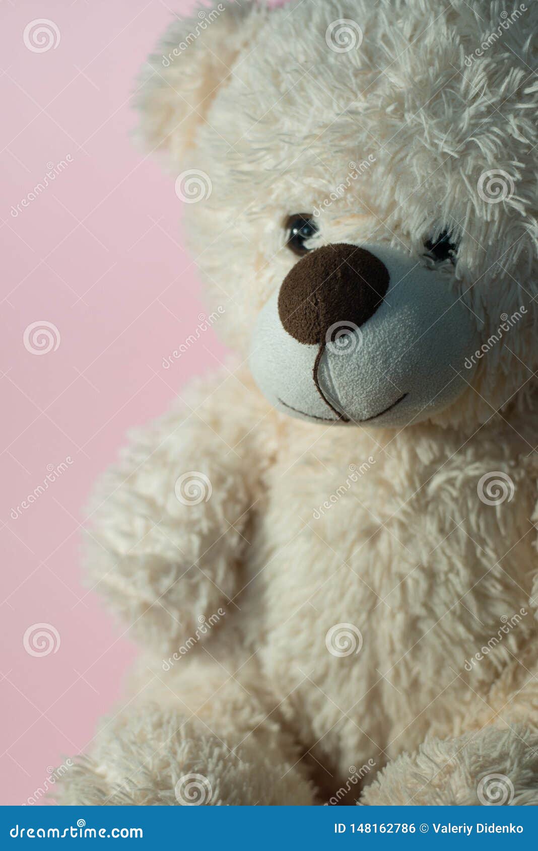 Soft toy `bear` stock photo. Image of childhood, sitting - 148162786