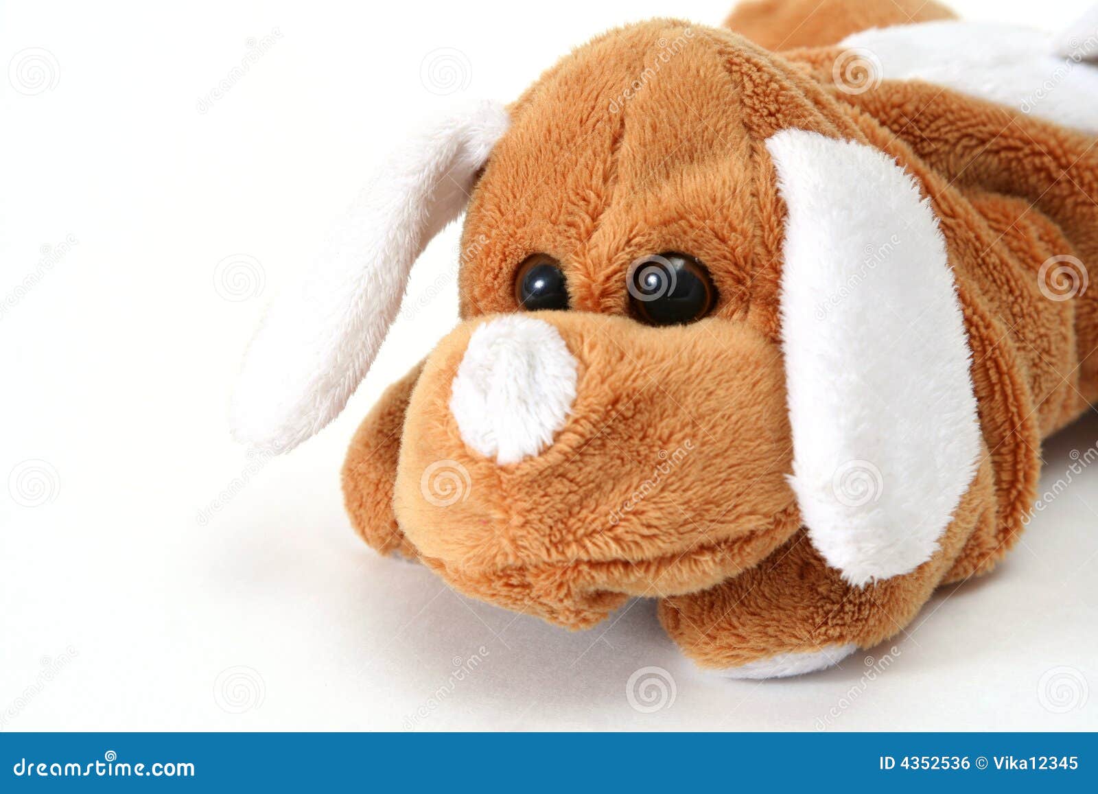 Soft toy dog stock photo. Image of wool, white, doggy - 4352536