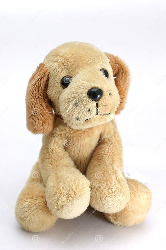 Soft-toy dog stock photo. Image of tall, play, polished - 456056