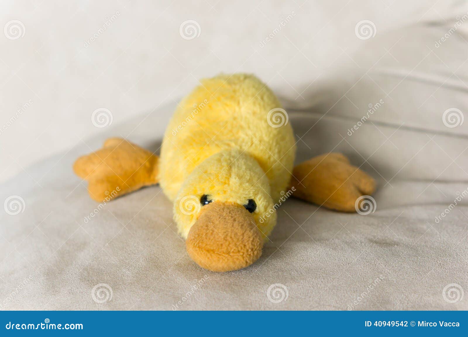 Soft toy duck stock photo. Image of object, close, animal - 40949542