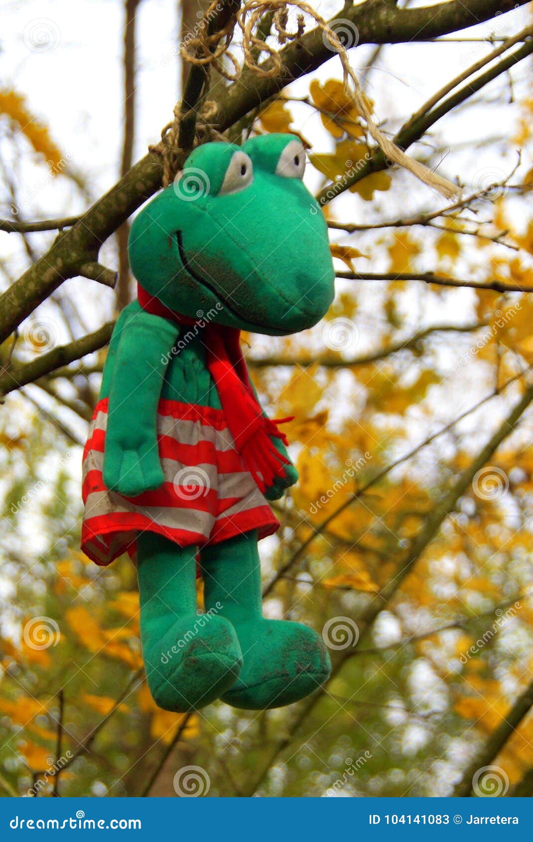 Soft Toy Frog Hanging from Trees Stock Image - Image of torn, tree ...