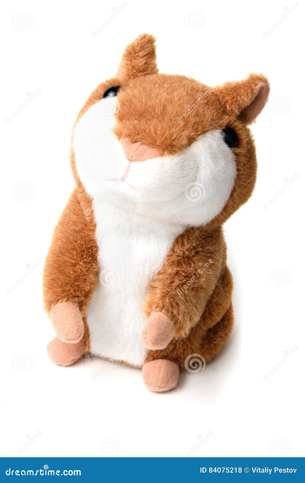 Soft Toy Hamster Isolated on White Background Stock Photo - Image of ...