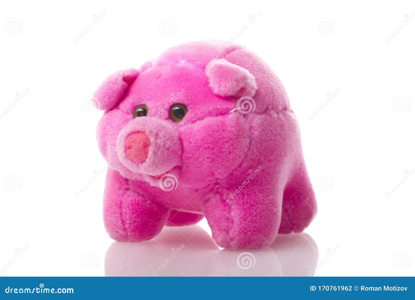 Soft Toy Pig on Isolated on White Background Stock Photo - Image of ...