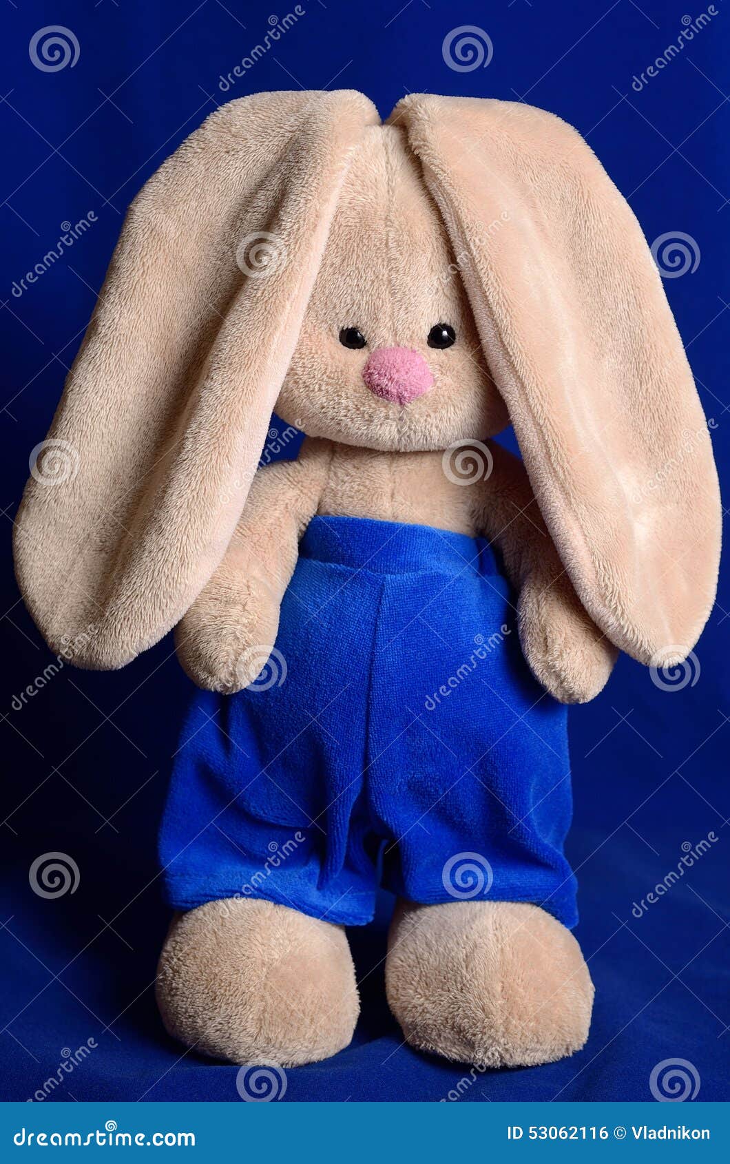 Soft toy Rabbit. stock photo. Image of object, bunny - 53062116