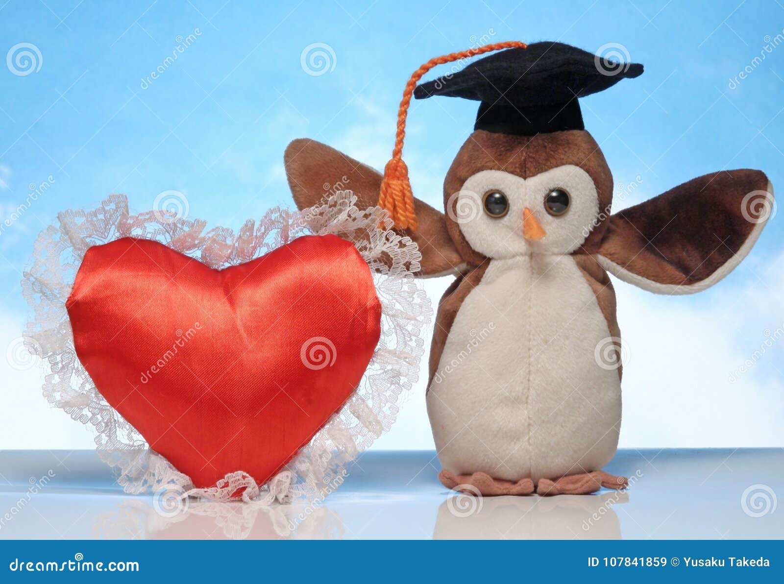 A Soft Toy Wearing a Graduation Cap. Stock Image - Image of college ...