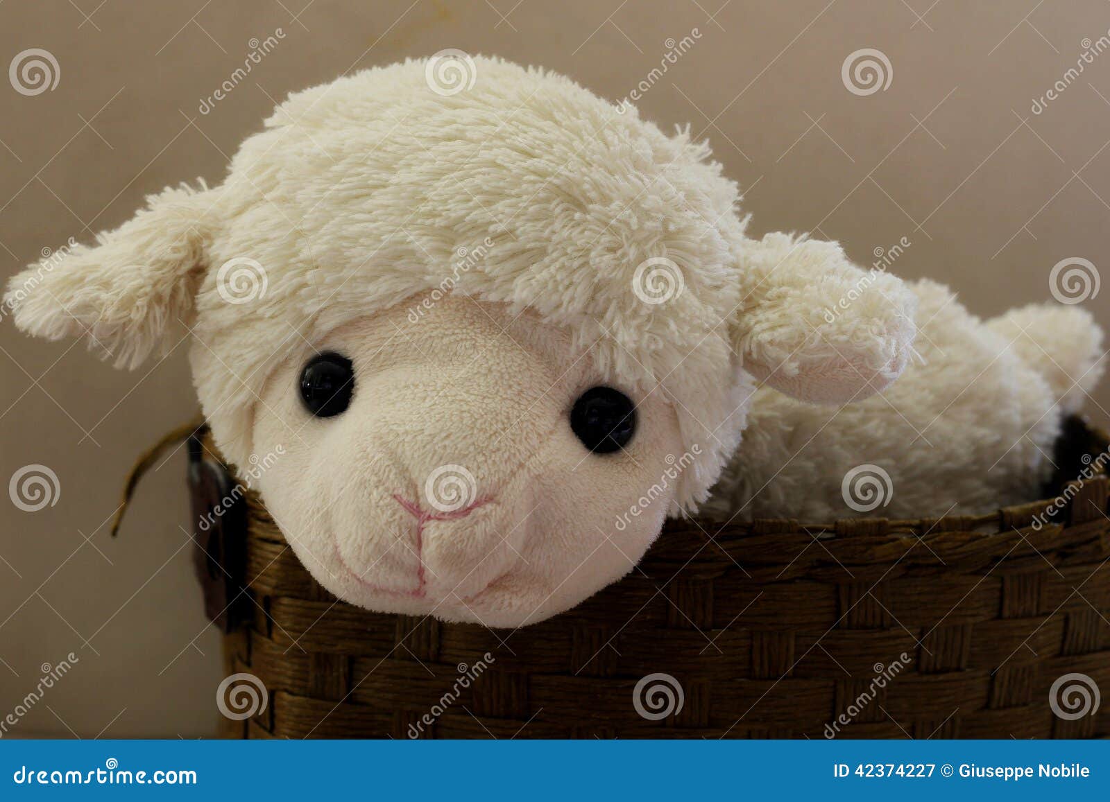 Soft toys - Lamb stock image. Image of home, decoration - 42374227