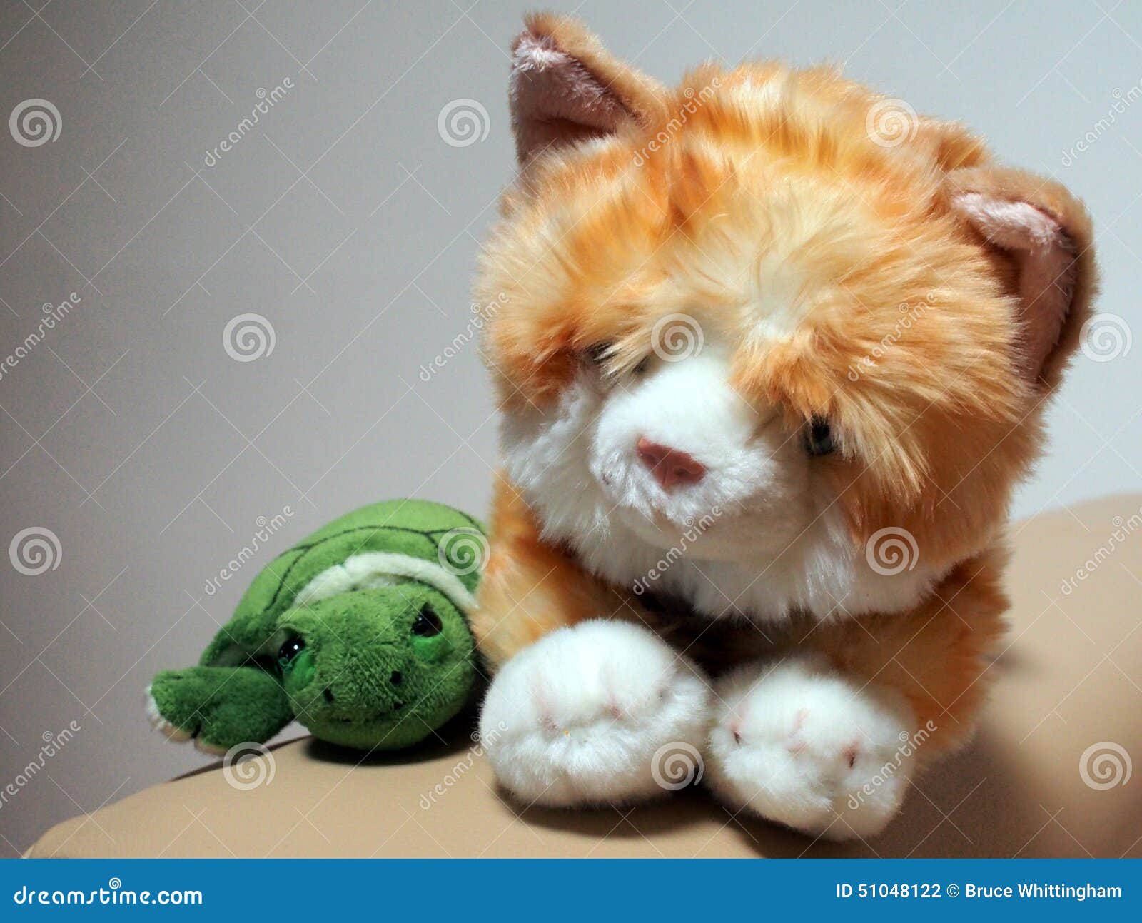 Soft Toys, Turtle and Cat stock photo. Image of green - 51048122