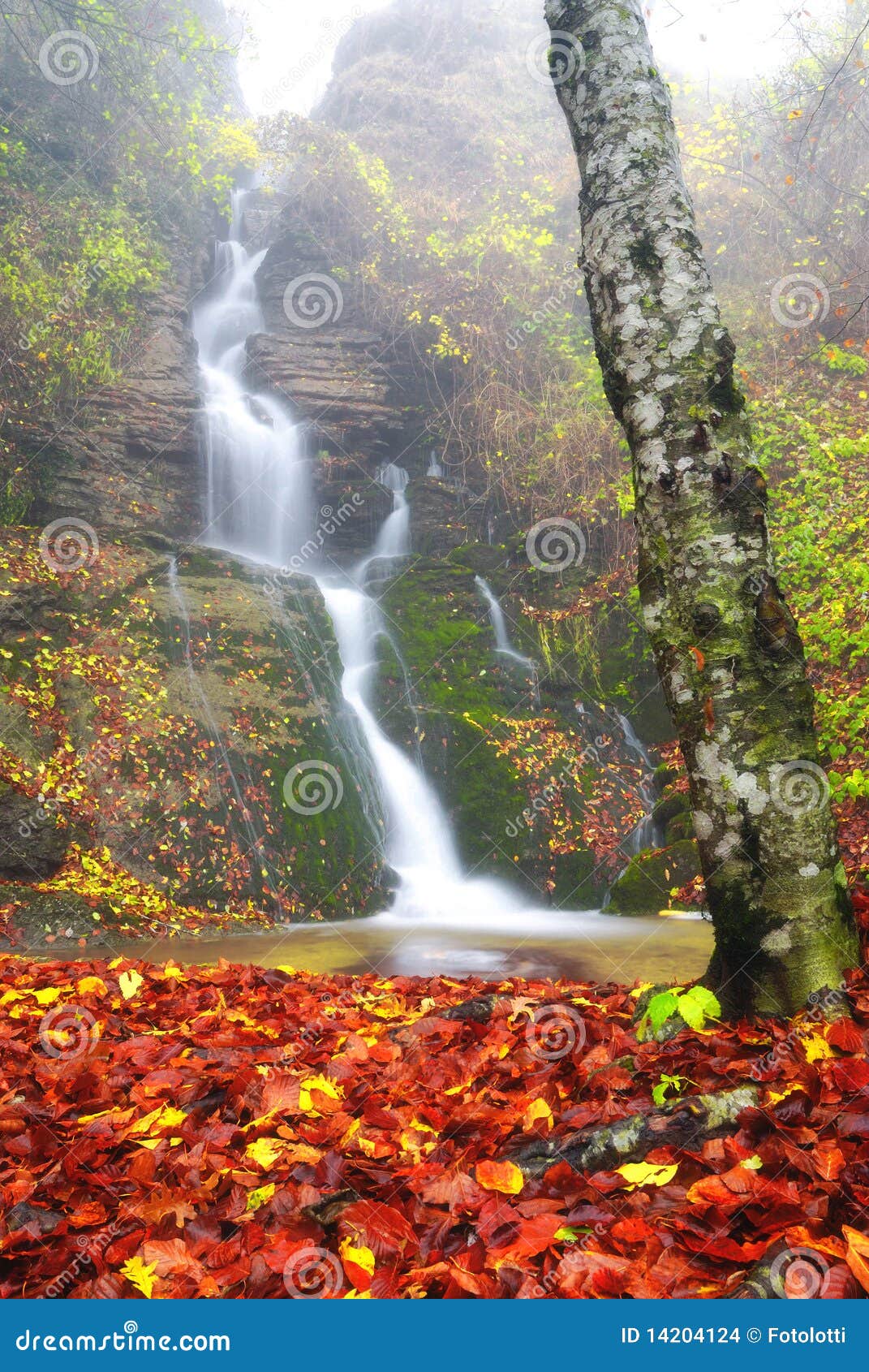 Soft waterfall stock photo. Image of nature, abstract - 14204124