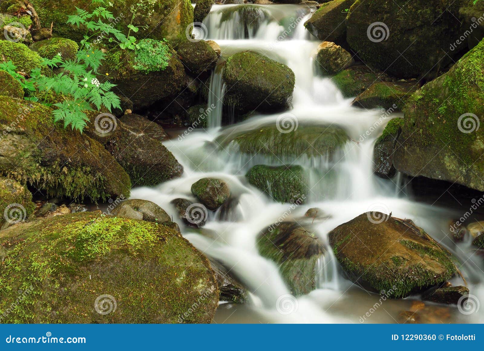 Soft Waterfall in the Forest Stock Photo - Image of waterfall, autumn ...