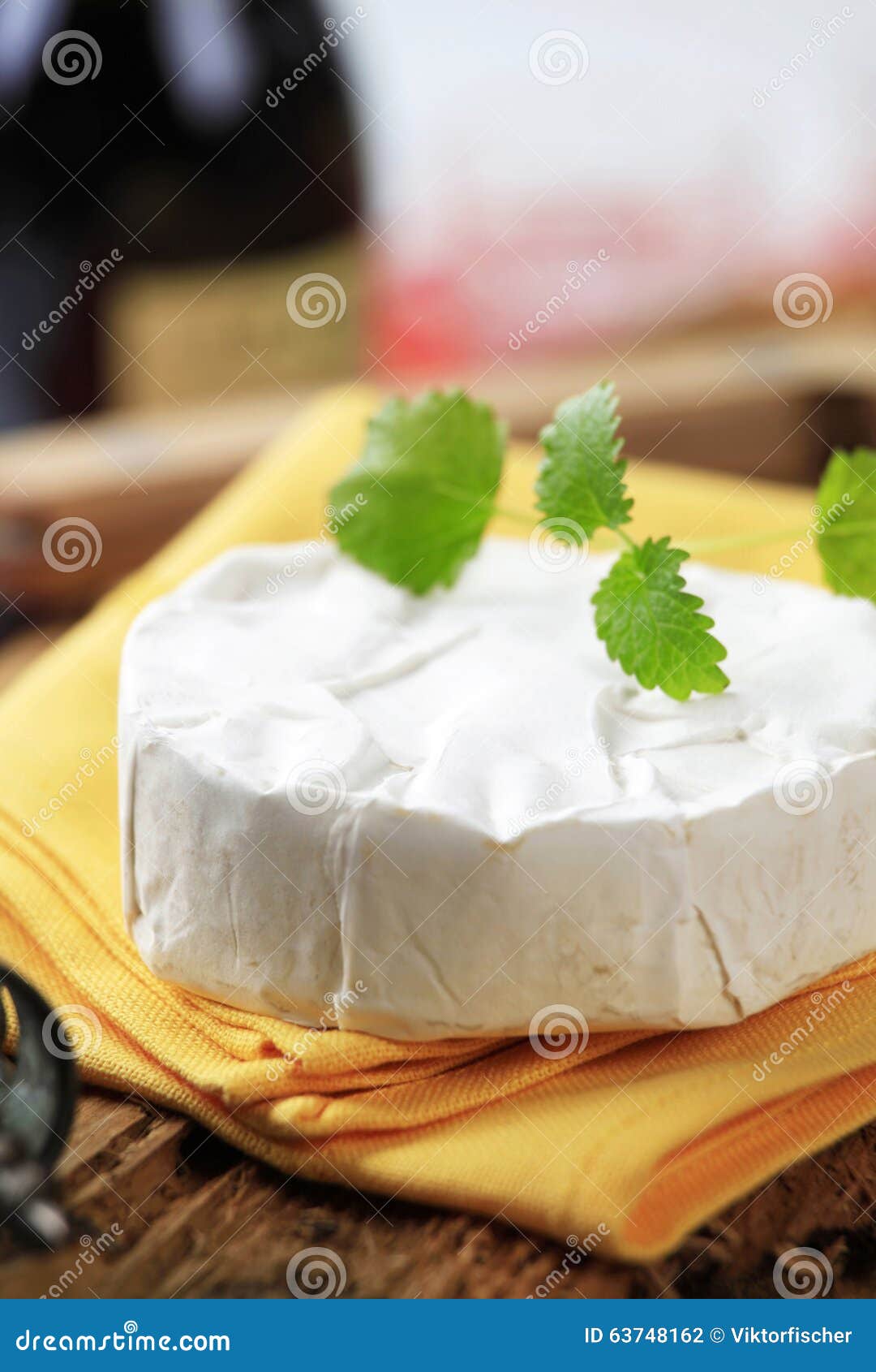 Soft white cheese stock photo. Image of milk, delicacy - 63748162