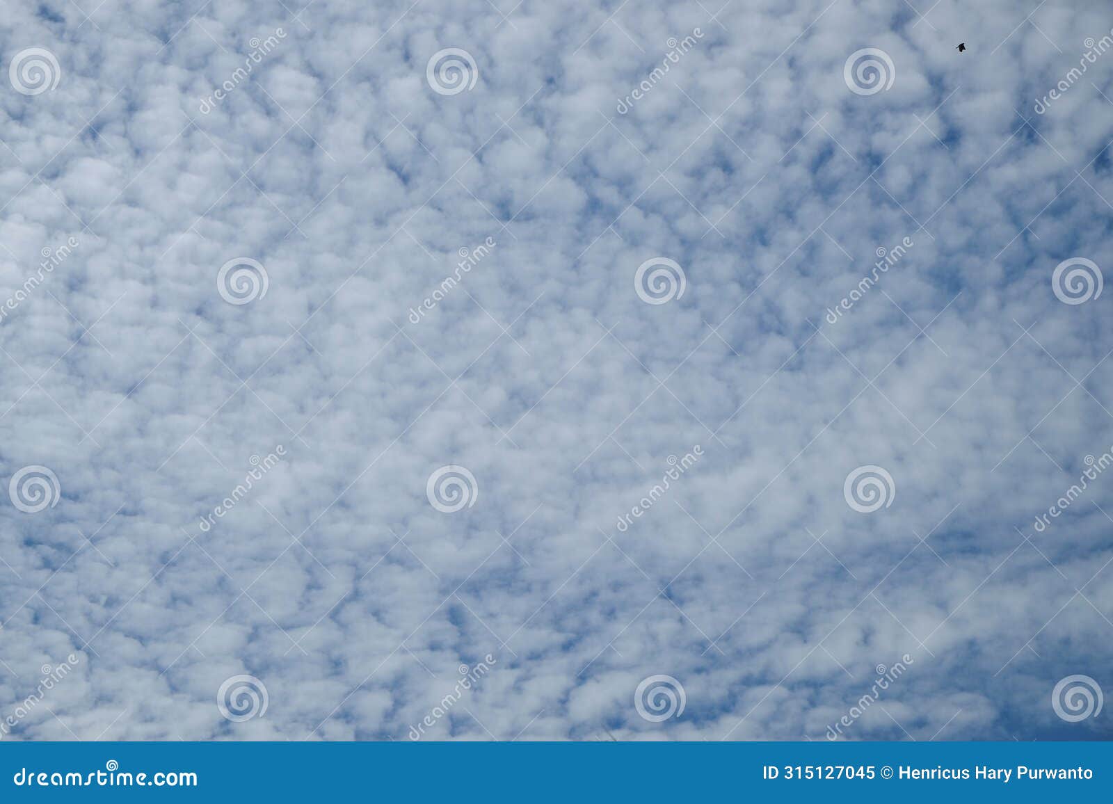Soft White Clouds with Patterns and Textures Like Sheep S Wool 5 Stock ...