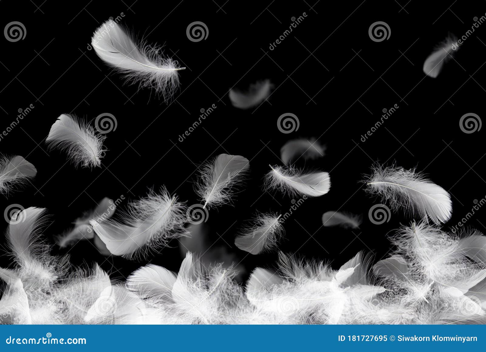 Feather Abstract Background, Soft White Feathers Falling Down in the ...