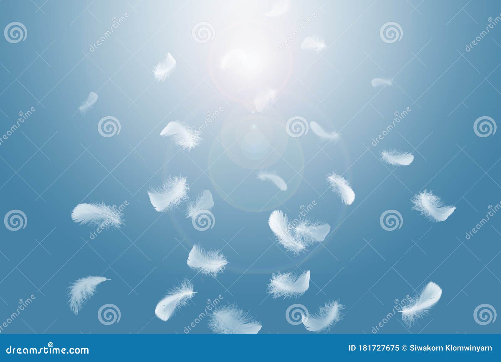 Feather Abstract Freedom Concept Background. Lightly And Soft Fluffy ...