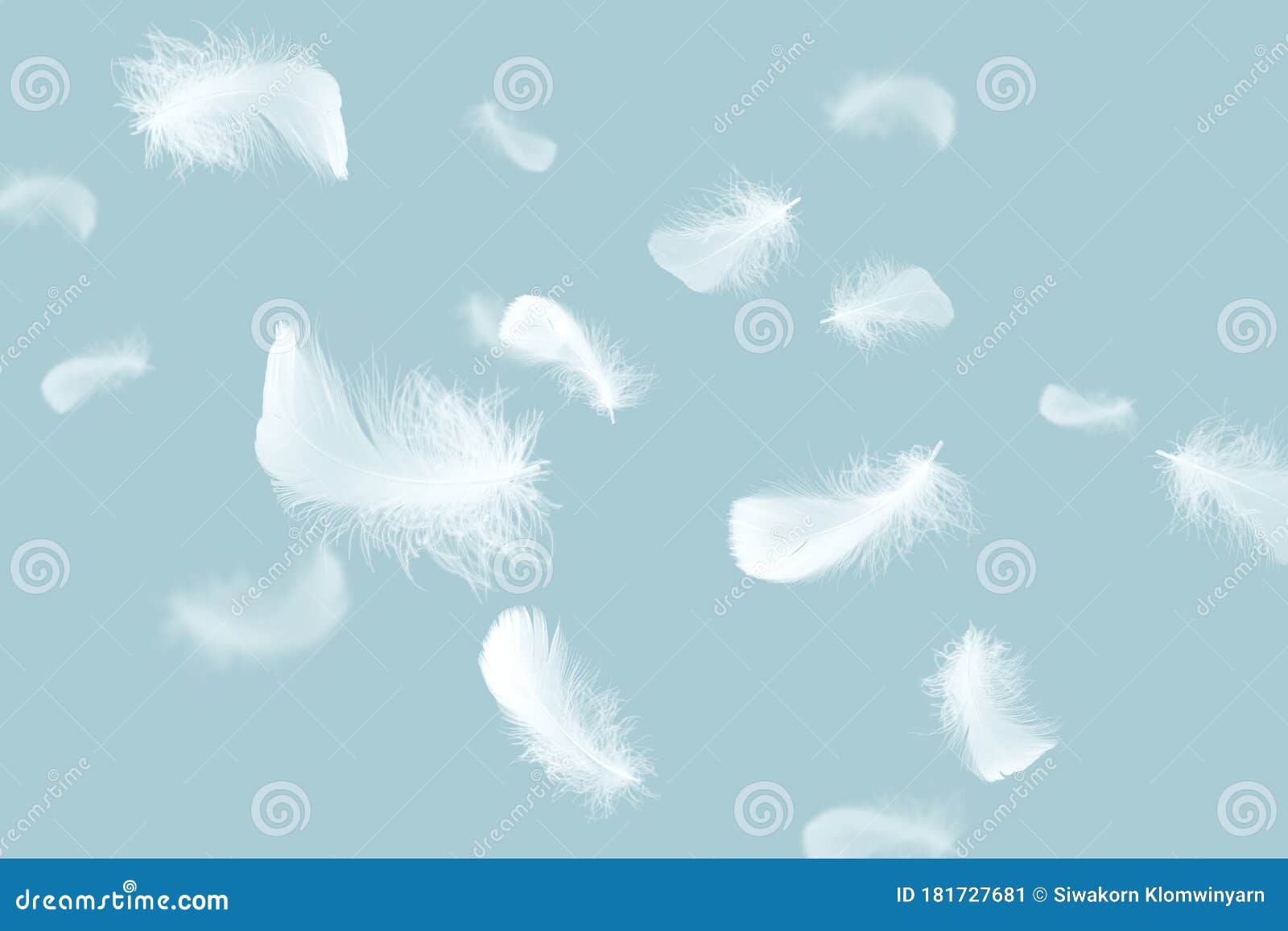 Soft White Feathers Floating in the Air Stock Image - Image of feathers ...