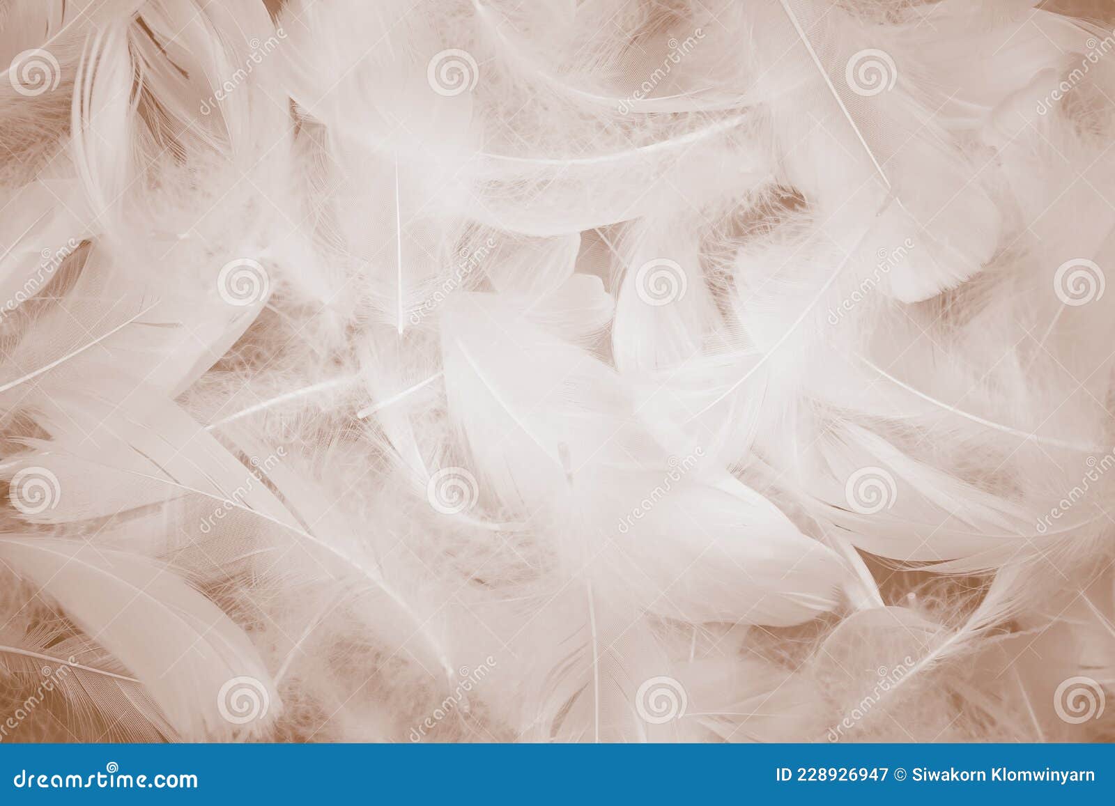 Soft White Feathers Texture Background Stock Image - Image of feathers ...
