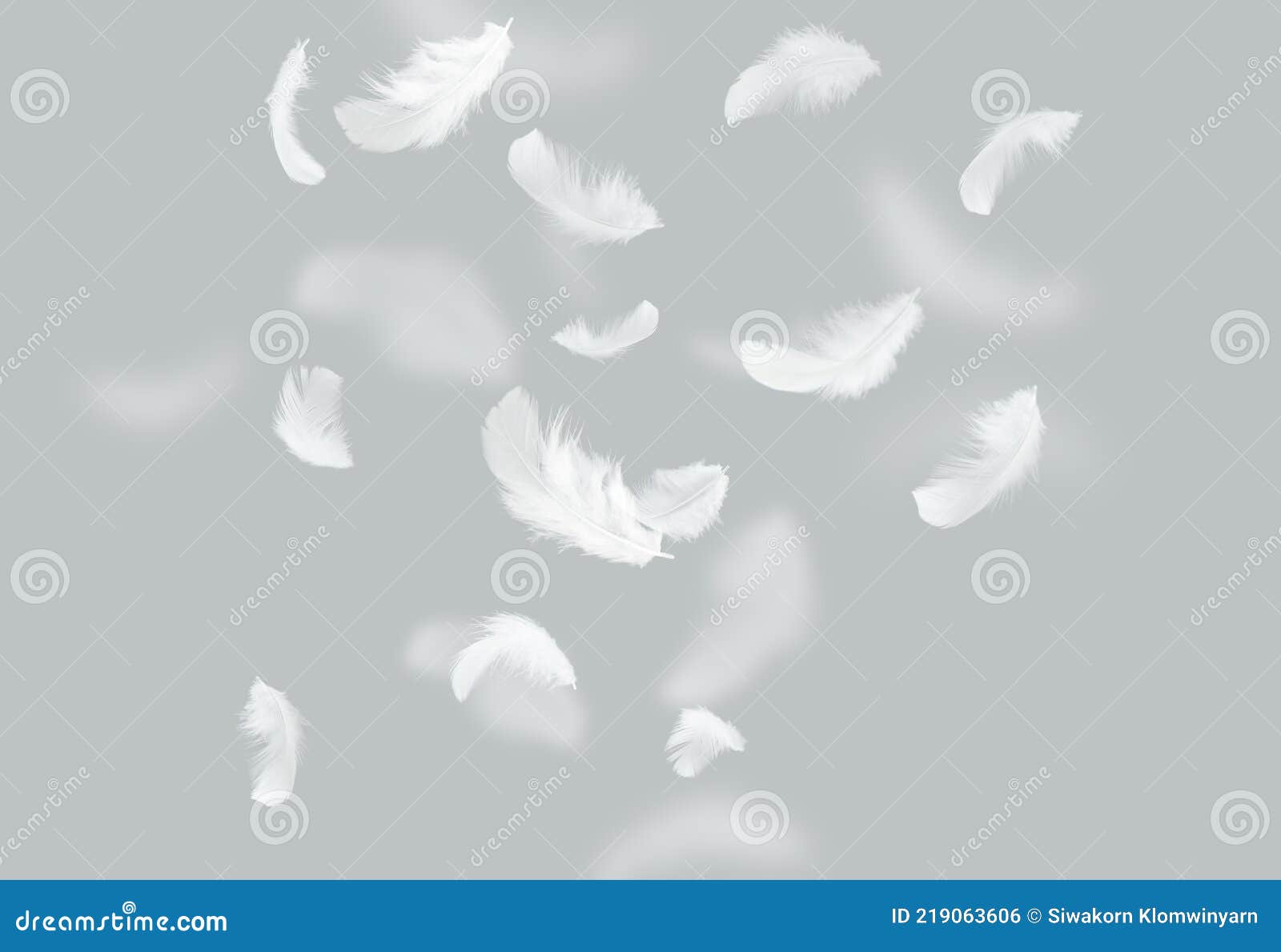 Soft White Fethers Falling Down in the Air. Stock Photo - Image of ...