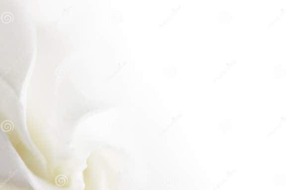 Soft White Flower Background Stock Image - Image of frame, anniversary ...