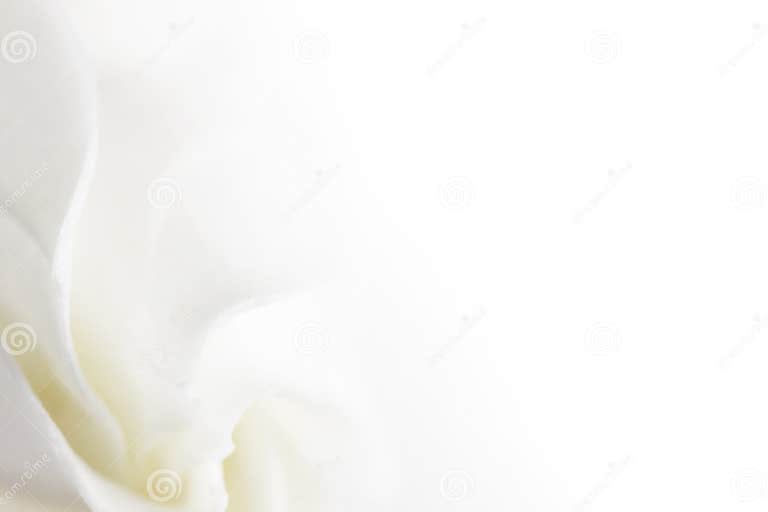 Soft White Flower Background Stock Image - Image of frame, anniversary ...
