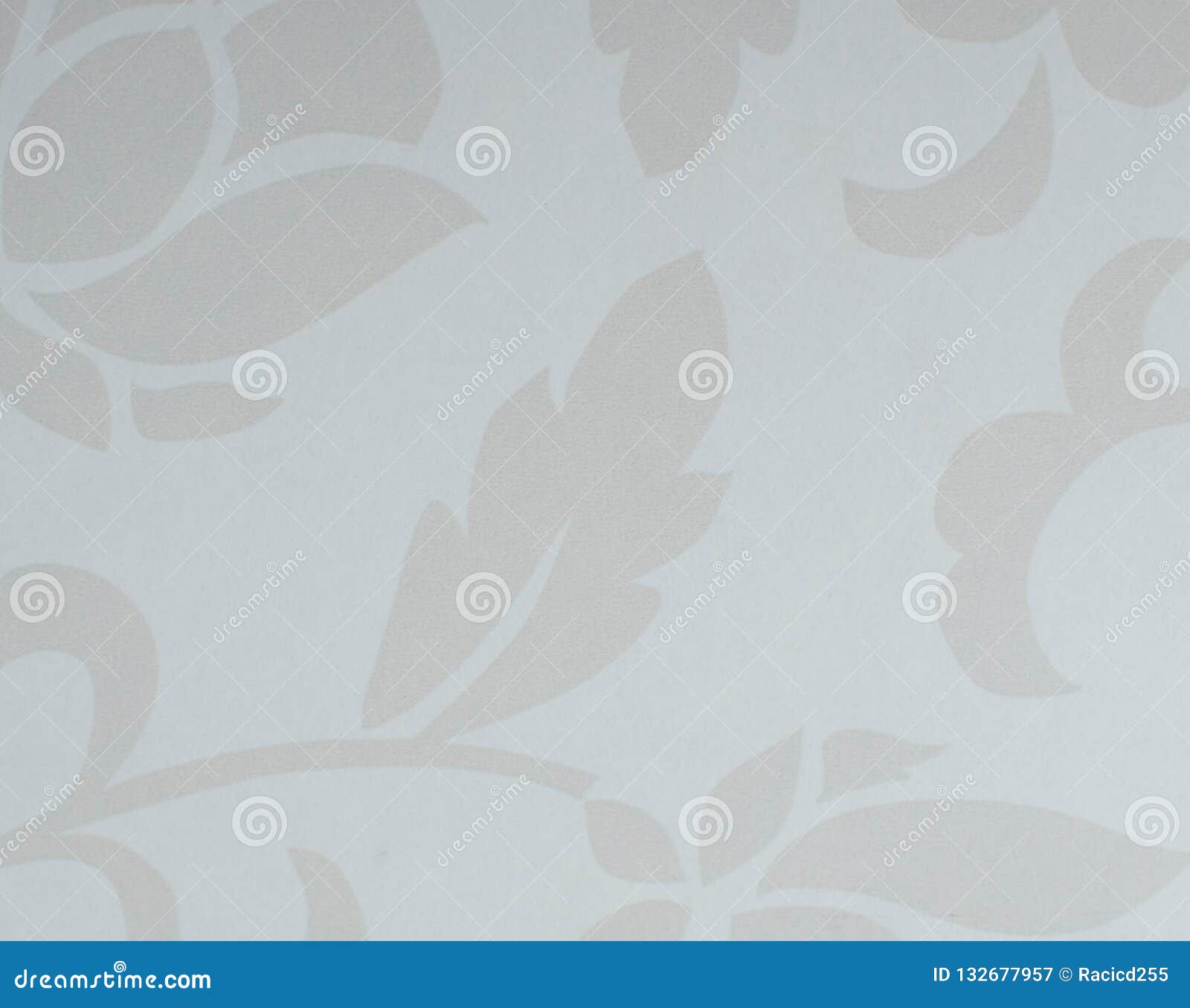 Soft White Flower Background Stock Image - Image of background ...