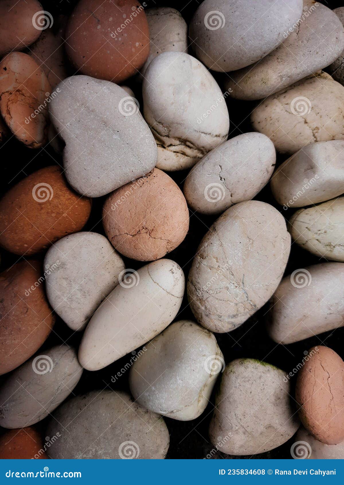 Soft White River Rocks and Beach Stones Stock Photo - Image of iron ...