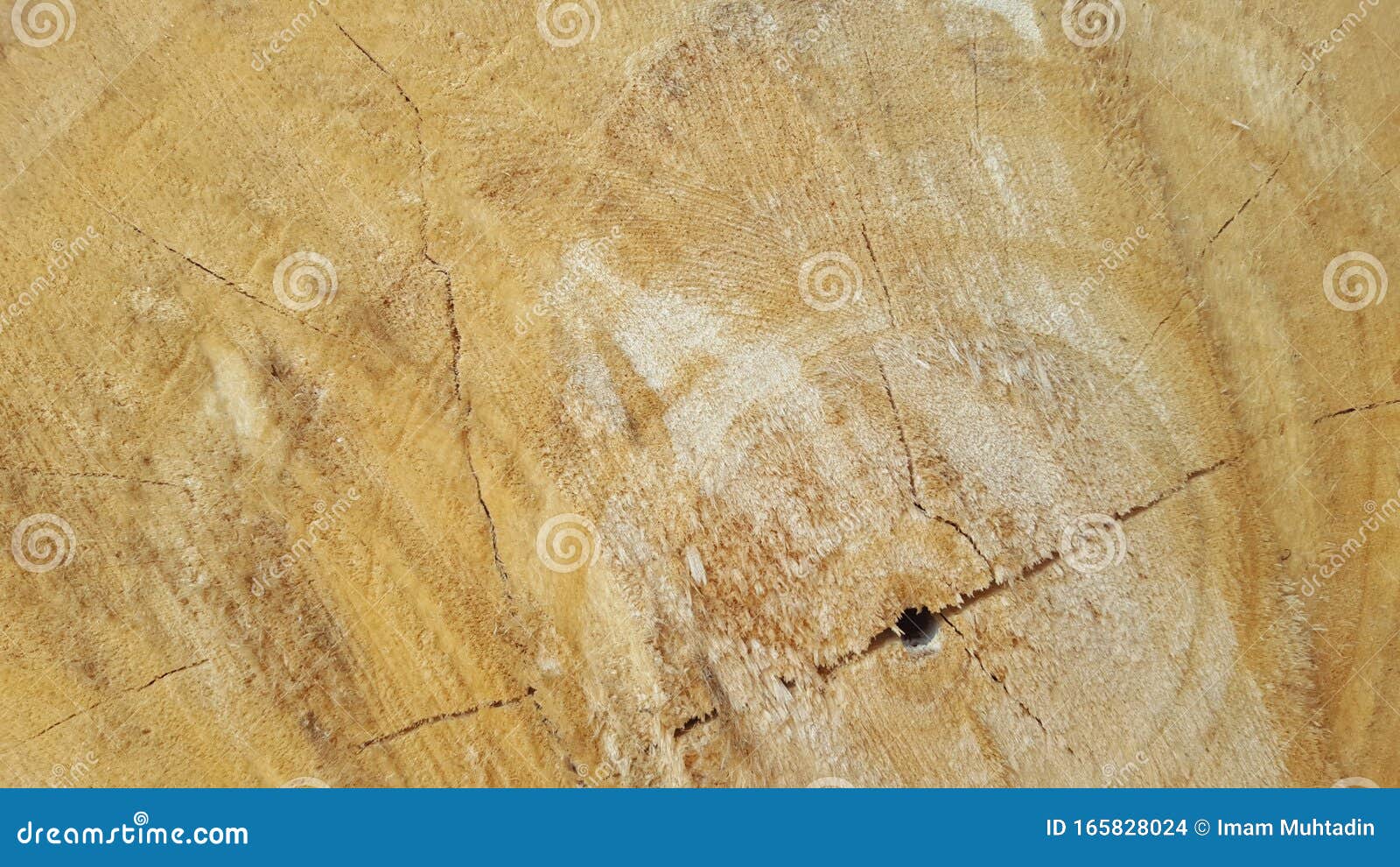 Soft Wood Grain. Material for Making Pallets or Package Wrappers Stock ...