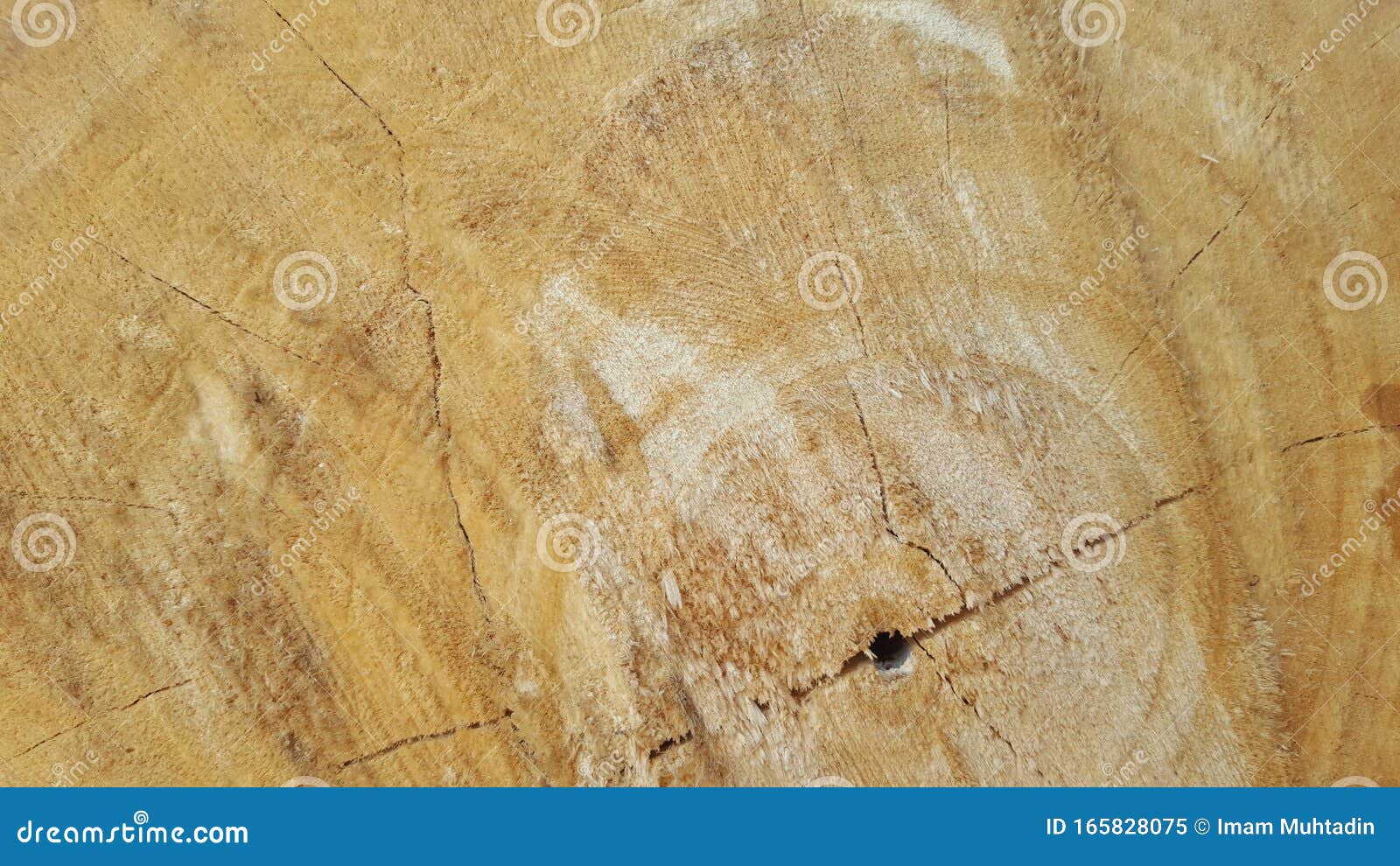 Soft Wood Grain. Material for Making Pallets or Package Wrappers Stock ...